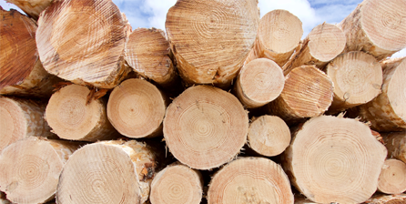 Sustainability | Wesbeam - Wesbeam